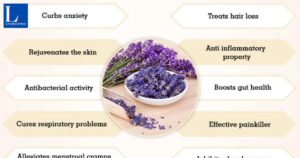 What Happens When You Smoke Lavender? step by step guide