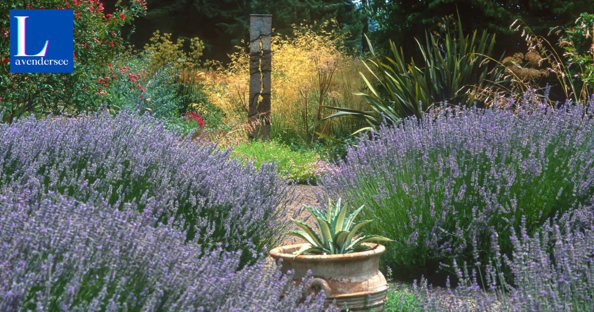 What To Plant With Lavender? step by step guide