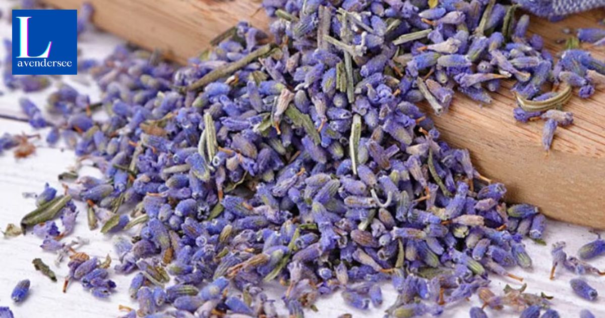 How To Dry Lavender? step by step guide ....