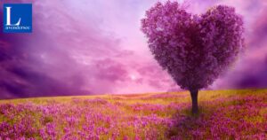 Lavender Color A Guide to its Shades, Tones, and Variations