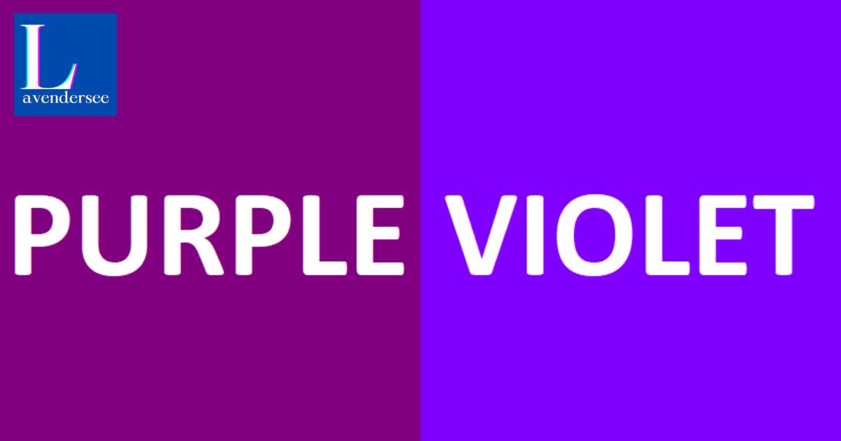 Indigo Vs Violet [Rainbow Colours] step by step guide